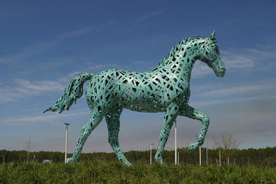 Pine Breeze Dandy | Jax Examiner