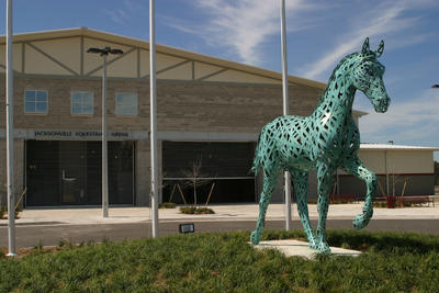 Pine Breeze Dandy | Jax Examiner